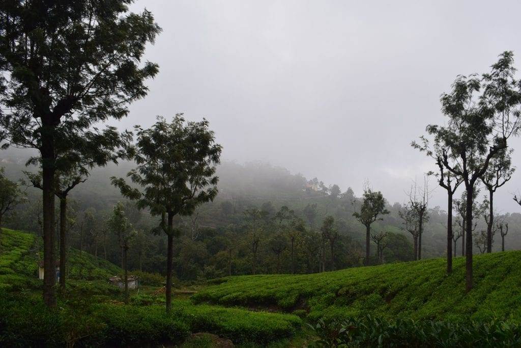 7 Best Hill Station Tour Packages In South India