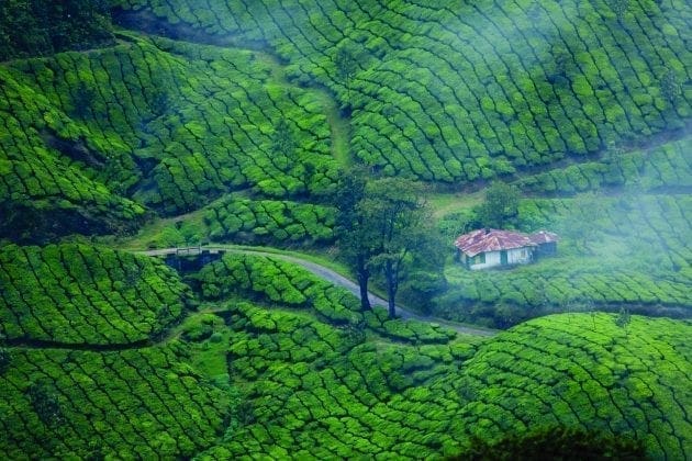 7 Best Hill Station Tour Packages In South India