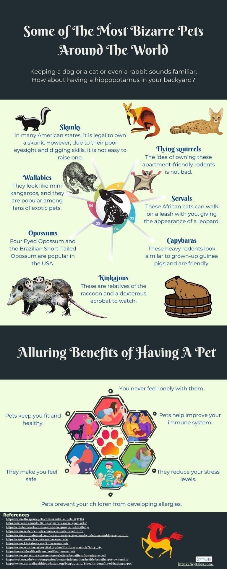 15 Most Expensive Pets To Take Care Of!