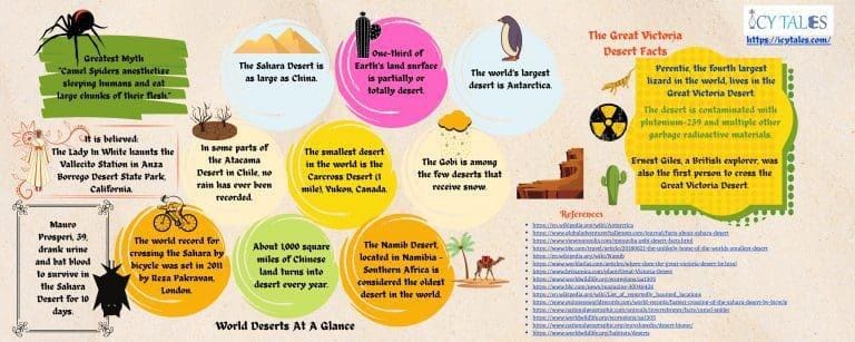 All About the Great Victoria Desert - Icy Tales