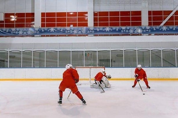 6 Ice Hockey Positions: The Guide To This Amazing Game