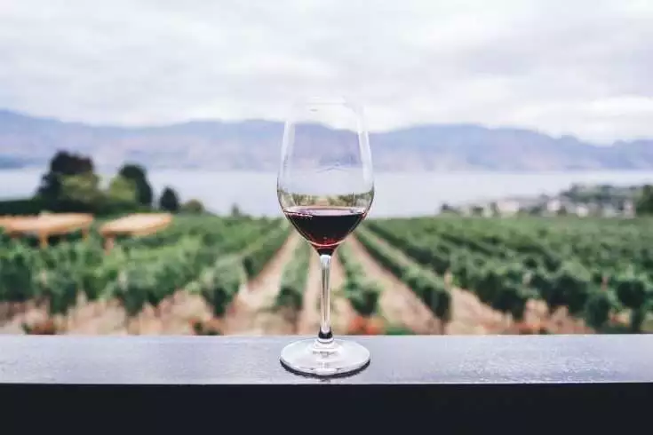 Top 10 Wineries In Alabama You Should Visit Today - Icy Tales