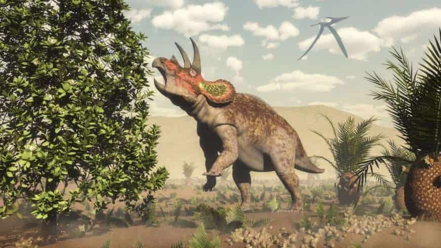 6 Amazing Facts About Herbivore Dinosaurs