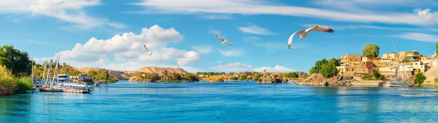 Longest River In The World: 11 Greatest Rivers To Know About