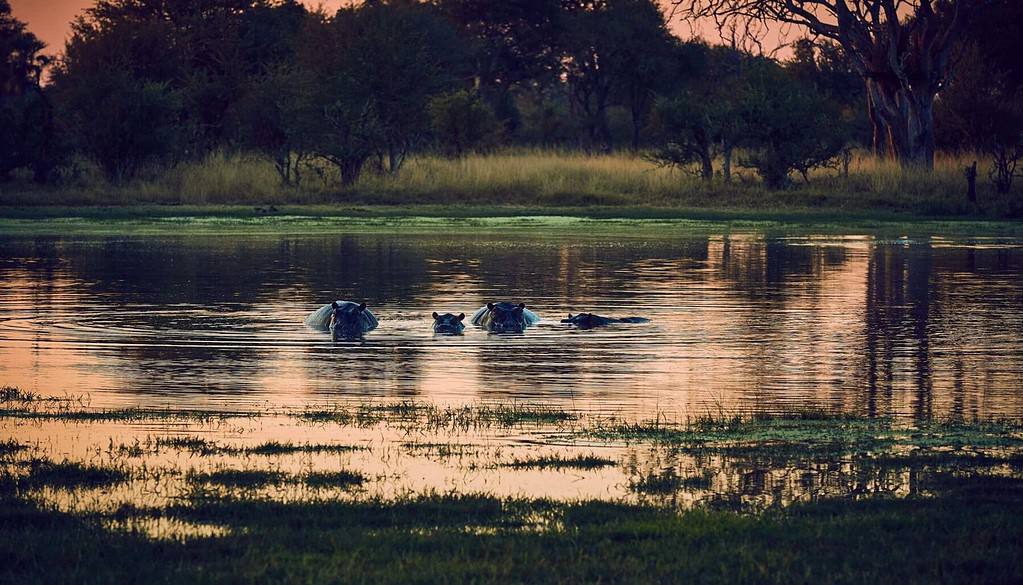 9 Fascinating Facts About Lake Chad In Africa You Should Know