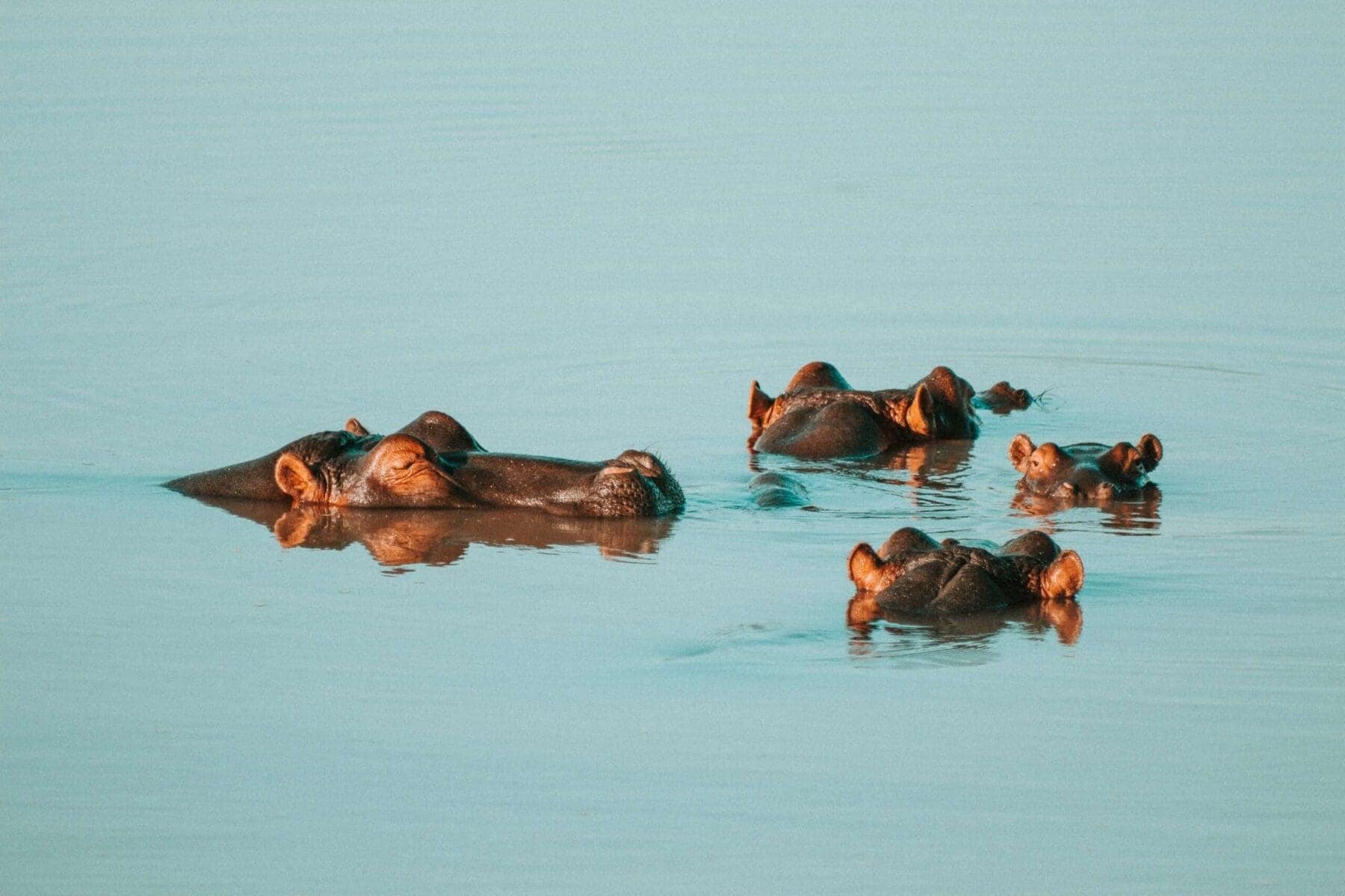 9 Fascinating Facts About Lake Chad In Africa You Should Know
