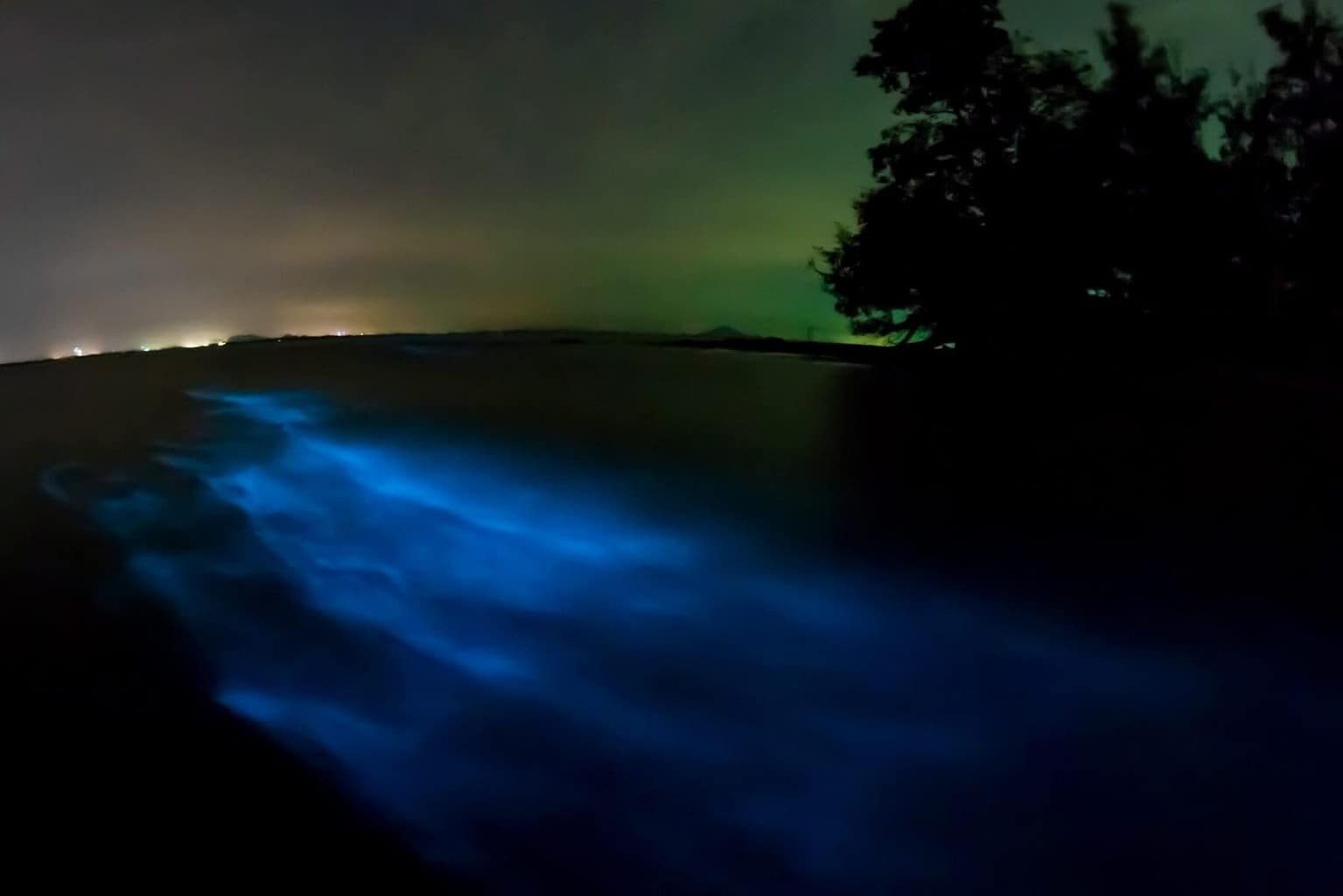 Bioluminescent Beach To Visit In India: The 6 Magical Blues