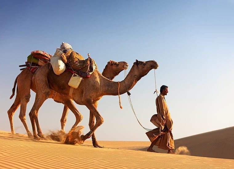 The Great Indian Desert: 11 Interesting Things To Know