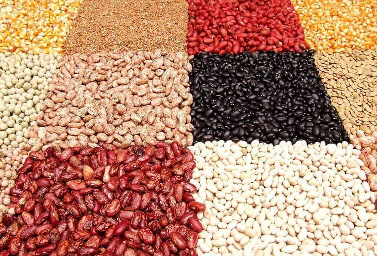 What Are Fiber Foods? A Health Guide In 3 Main Points