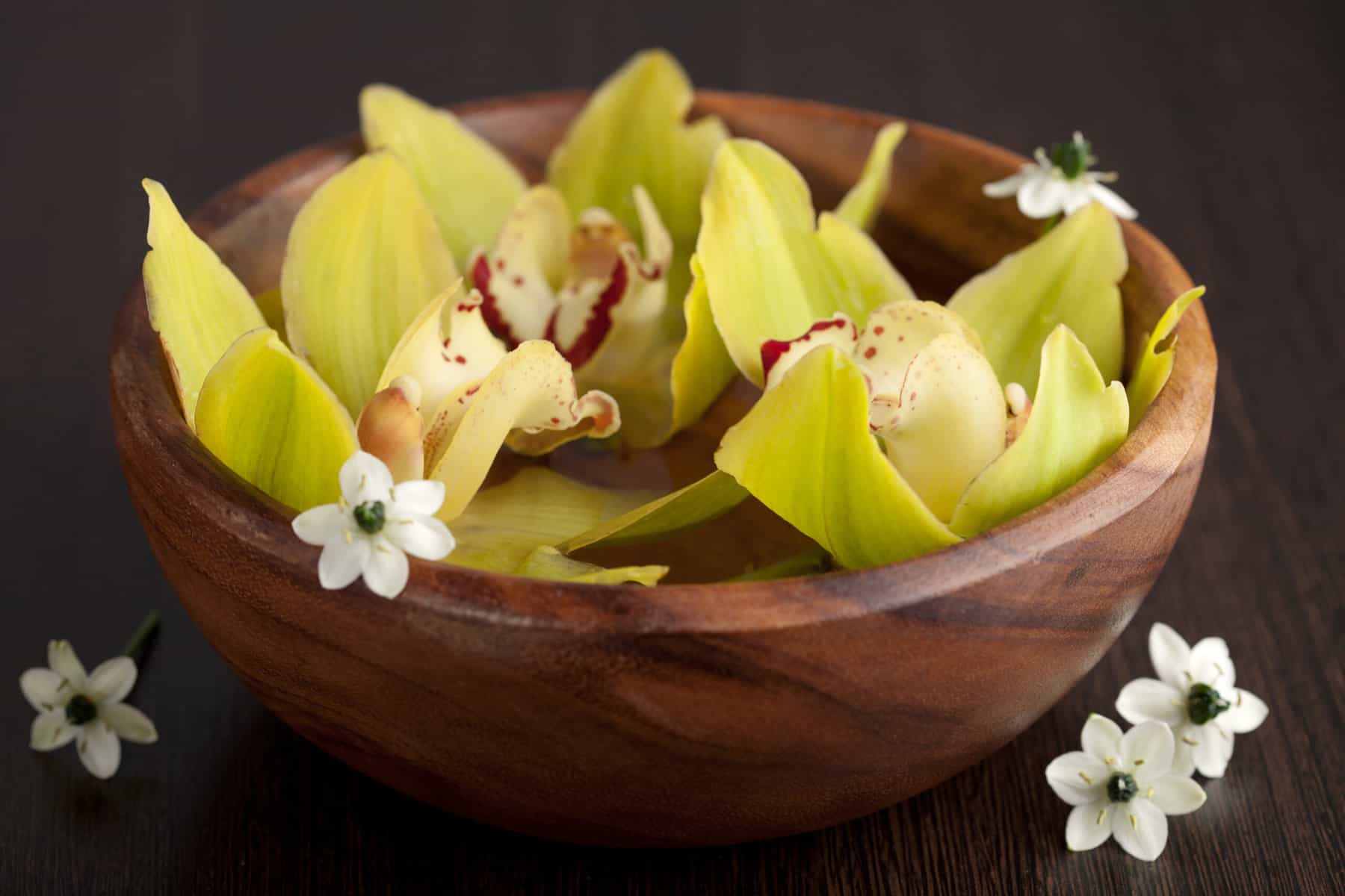 Mastering Orchid Care: How To Water Orchids With Ice Cube