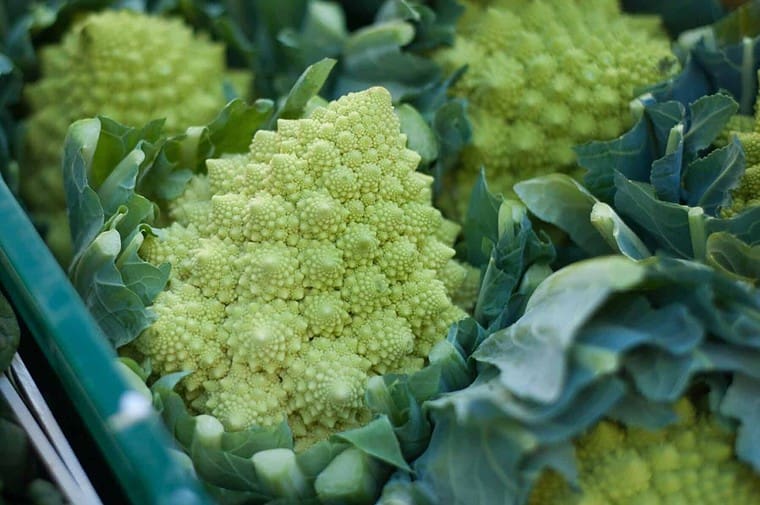 Signs Of Spoiled Broccoli: How To Identify Them