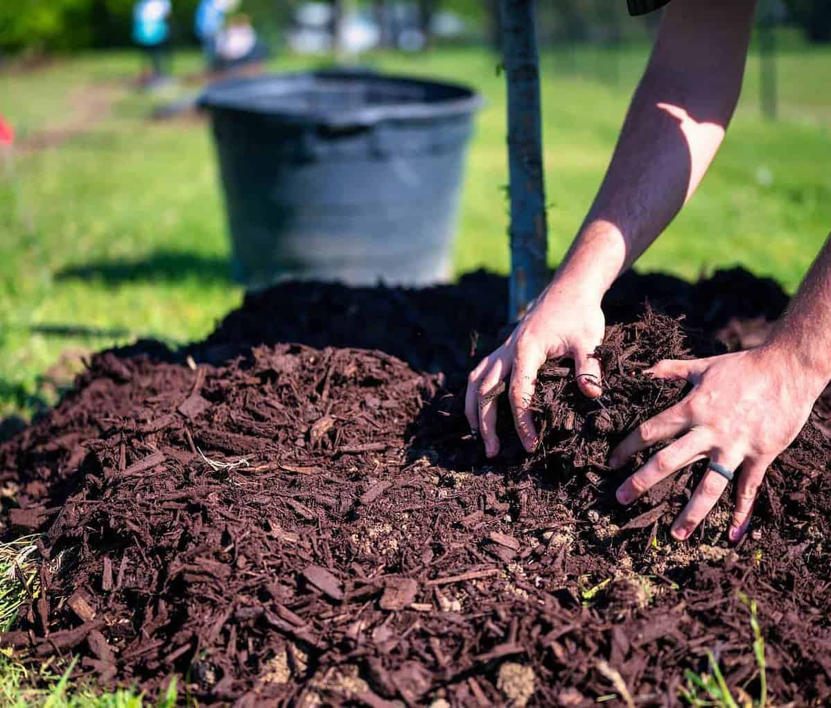 How To Build A Berm In 9 Easy Steps