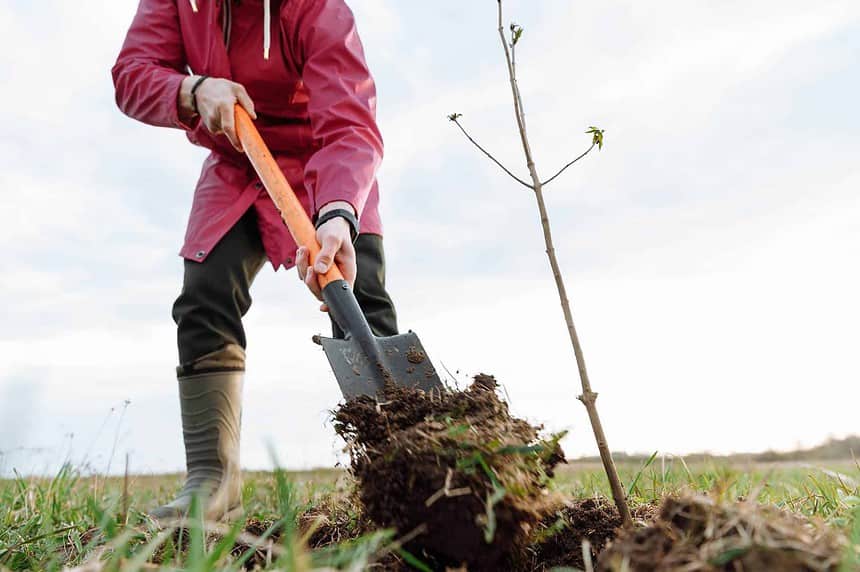 How To Build A Berm In 9 Easy Steps
