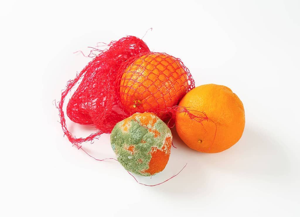 How To Know If An Orange Is Bad: Essential Tips