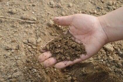 How To Build A Berm In 9 Easy Steps