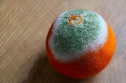 How To Know If An Orange Is Bad: Essential Tips