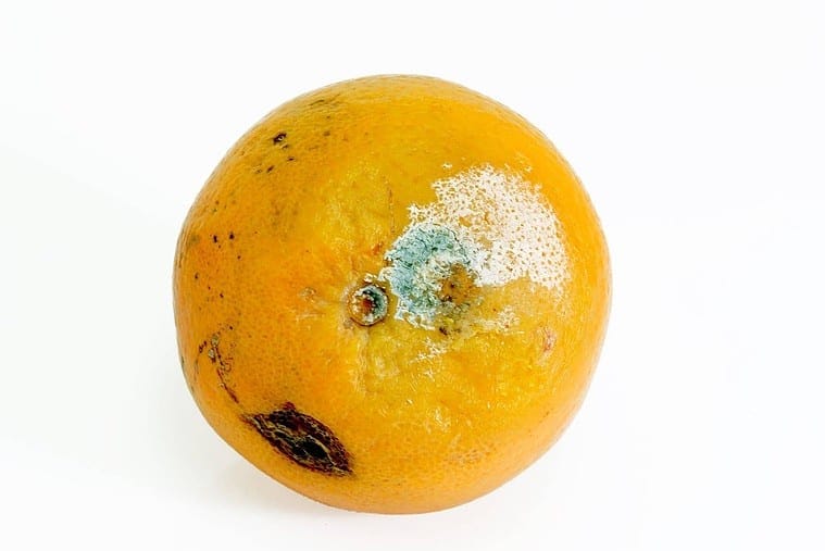 How To Know If An Orange Is Bad: Essential Tips