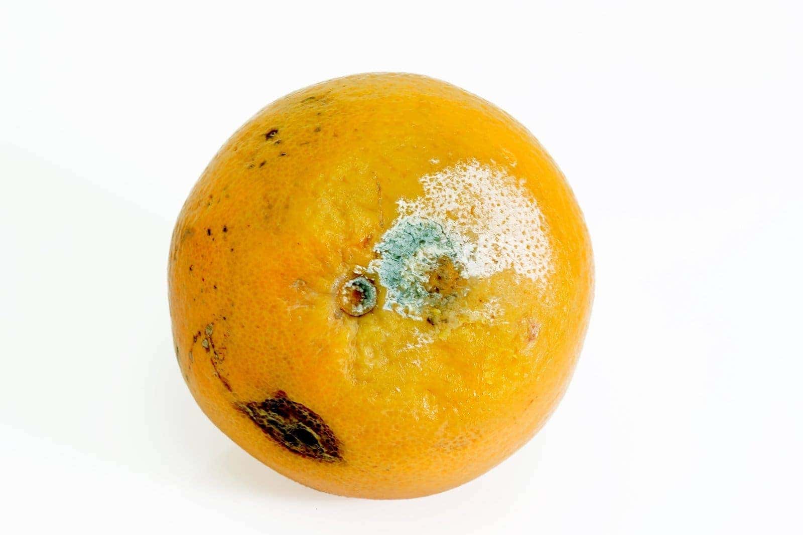 How To Know If An Orange Is Bad: Essential Tips